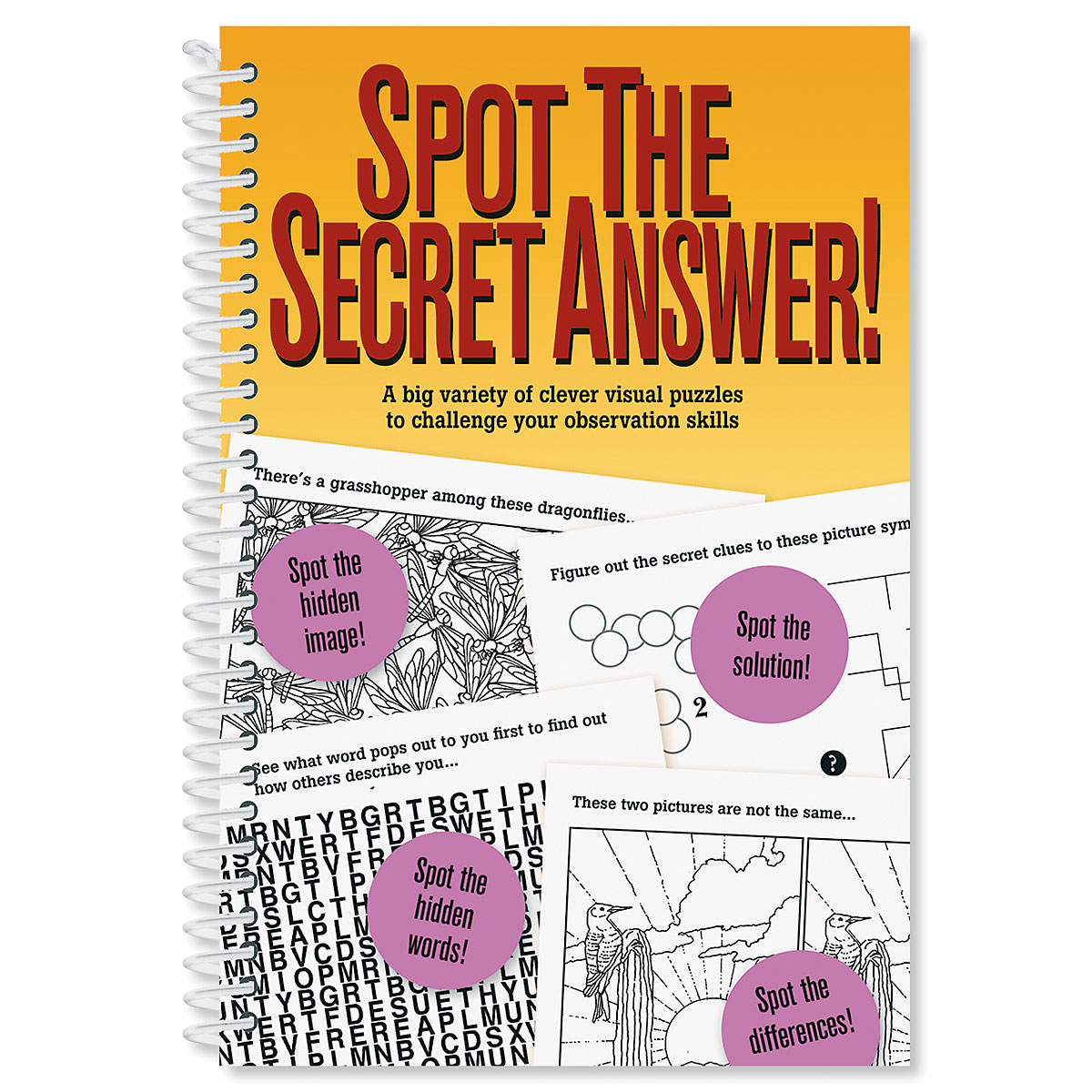 Spot the Secret Answer Book | Colorful Images