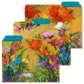 File Folders, Folders & Decorative File Folders | Colorful Images