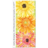 Oversized Address Labels | Colorful Images