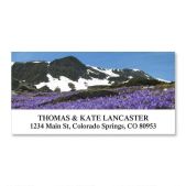 Seasons Address Labels | Colorful Images