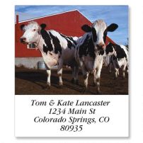 Farm Address Labels | Colorful Images