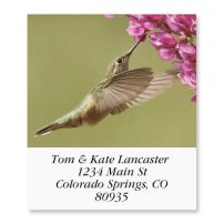 Birds Address Labels | Colorful Images