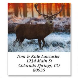 Deer Select Return Address Labels | Colorful Images