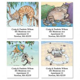 Cat Fun Select Return Address Labels | Colorful Images