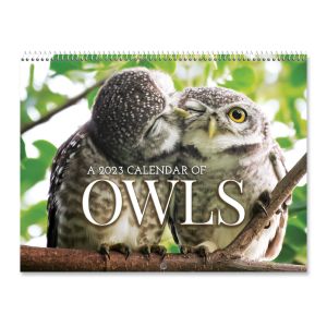 Calendars & Wall Calendar | Colorful Images