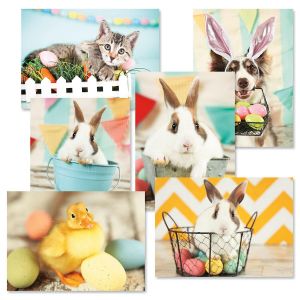 Unique Easter Gifts, Easter Gifts Ideas | Colorful Images