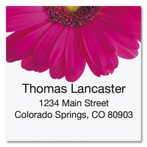 Large Square - Address Labels by Type - Address Labels | Colorful Images