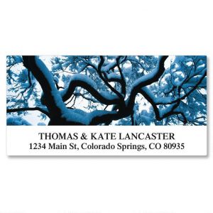 Year-Round Address Labels | Colorful Images