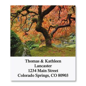Scenic Landscape Address Labels | Colorful Images