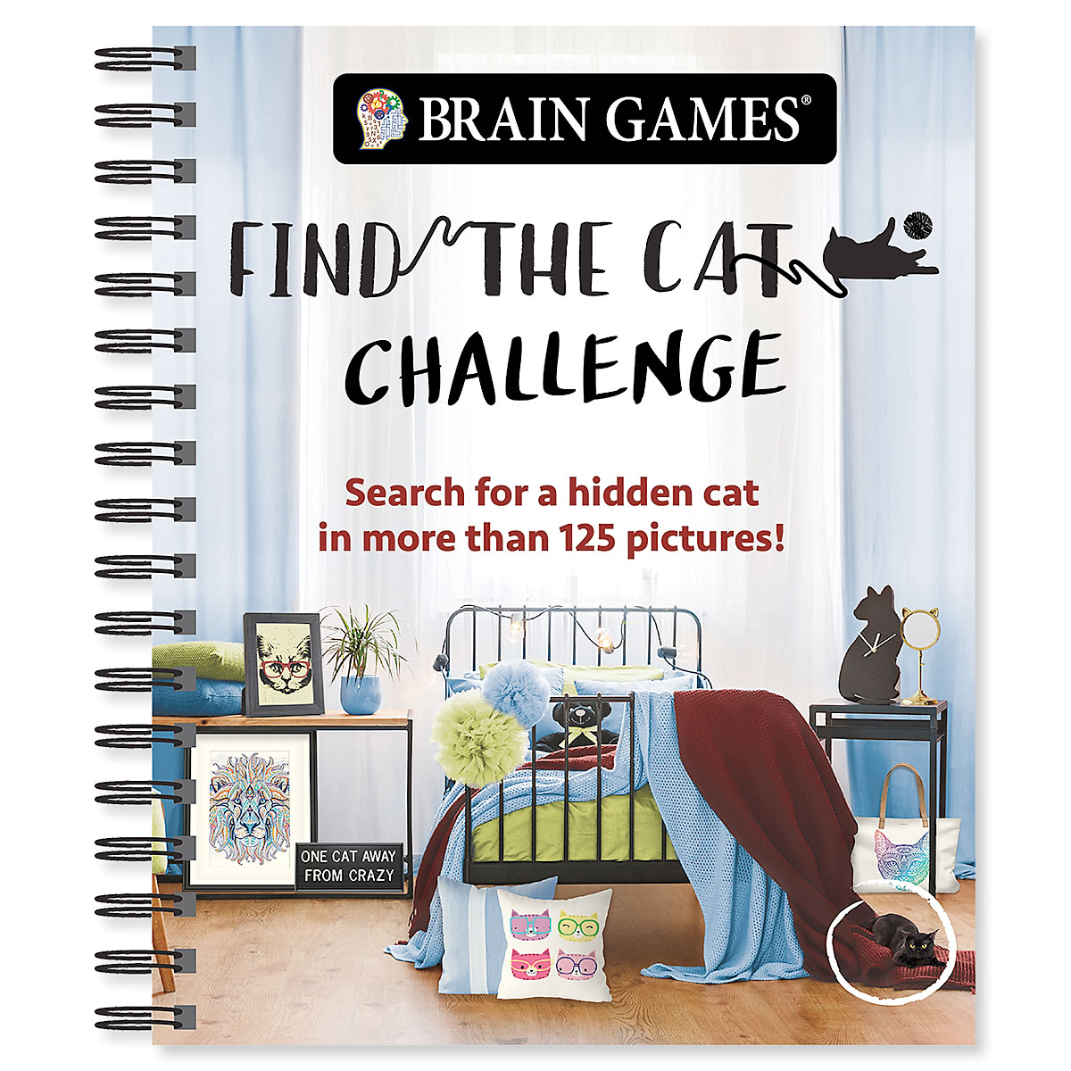 Find the Cat Challenge Book | Colorful Images