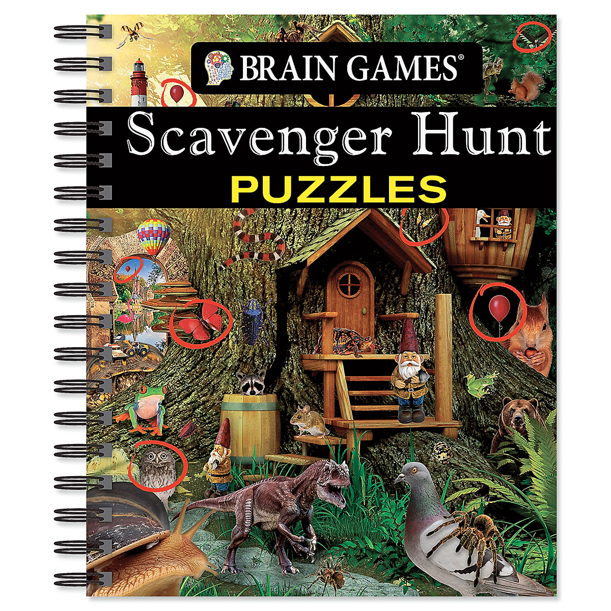 Scavenger Hunt Word Search Puzzles Brain Games® | Colorful Images