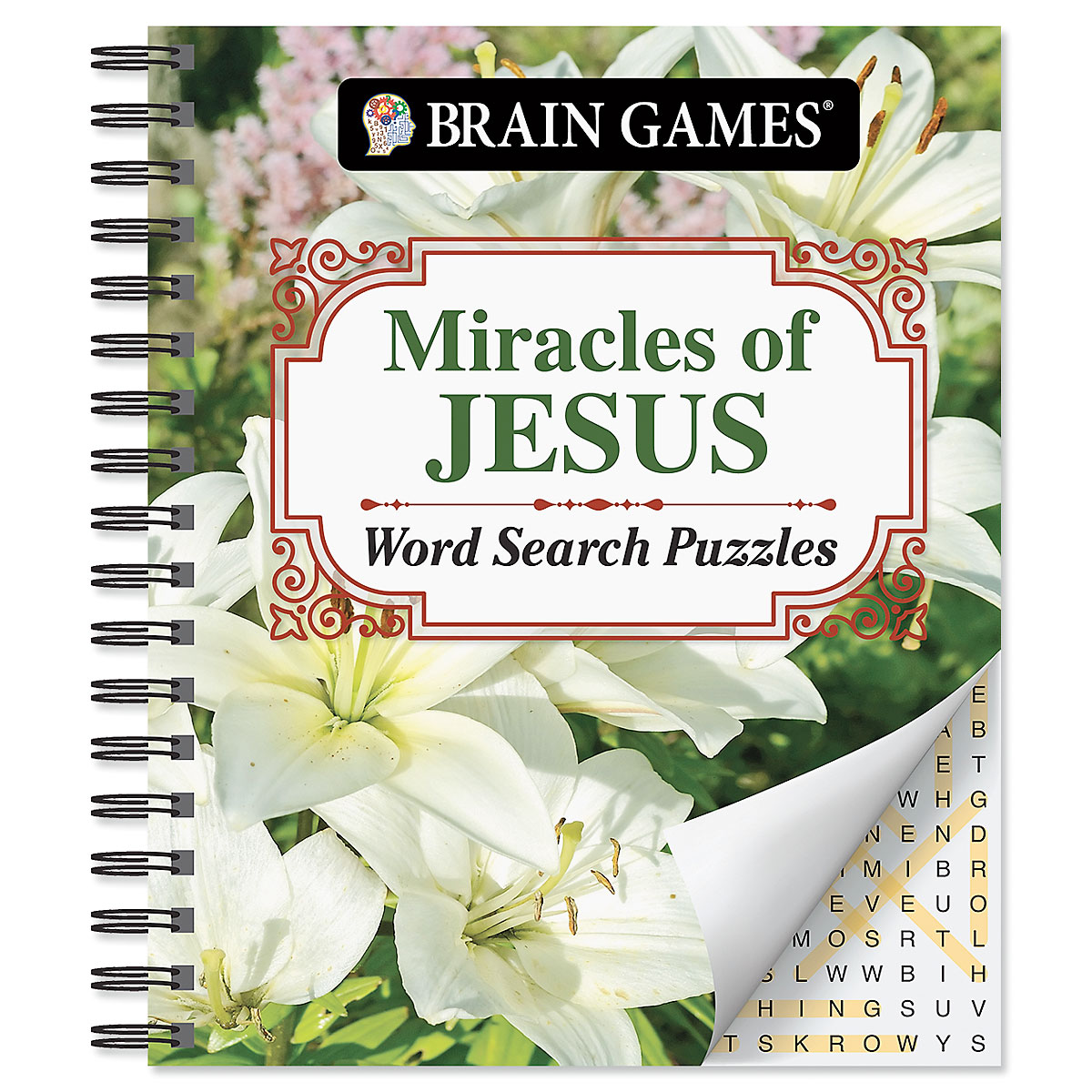 Miracles of Jesus Word Search Brain Games® | Colorful Images
