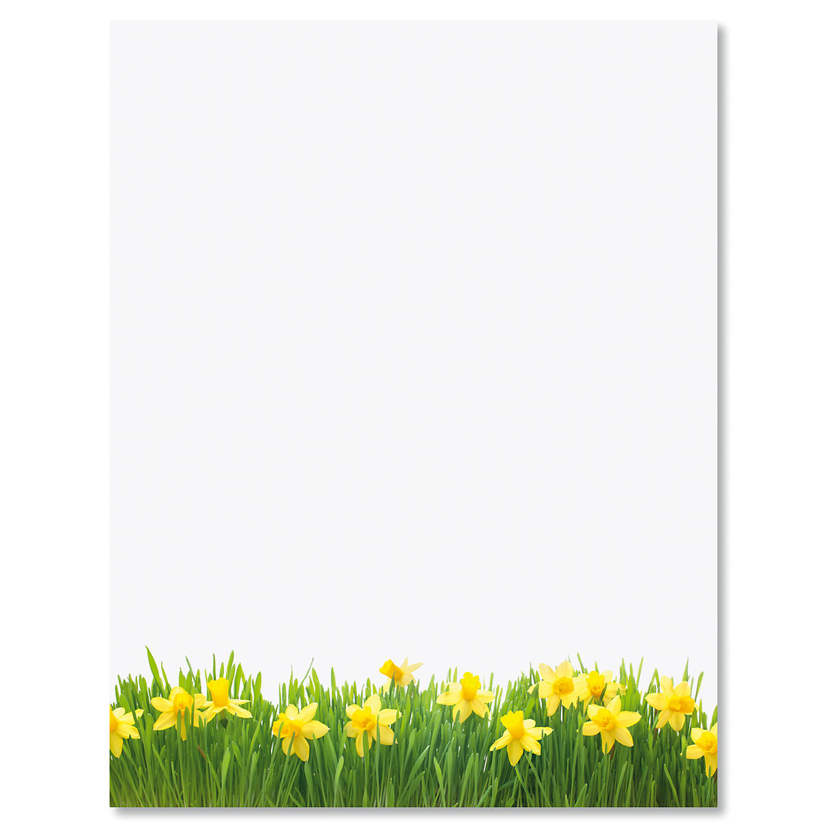 Daffodils Easter Letter Papers | Colorful Images