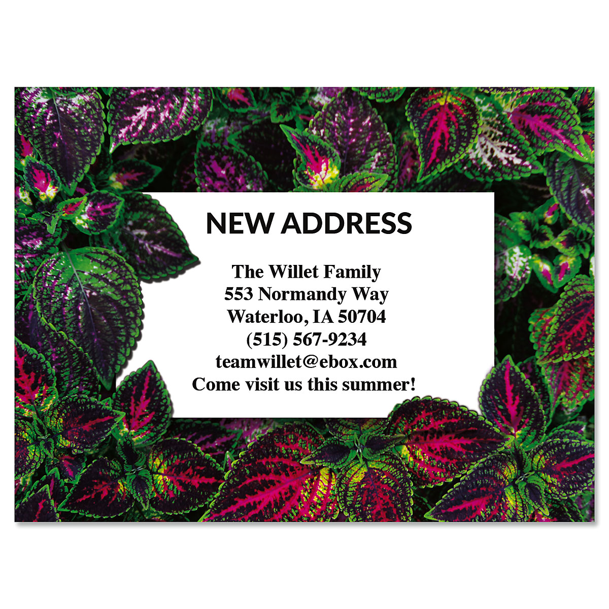 Newly Planted New Address Postcards | Colorful Images