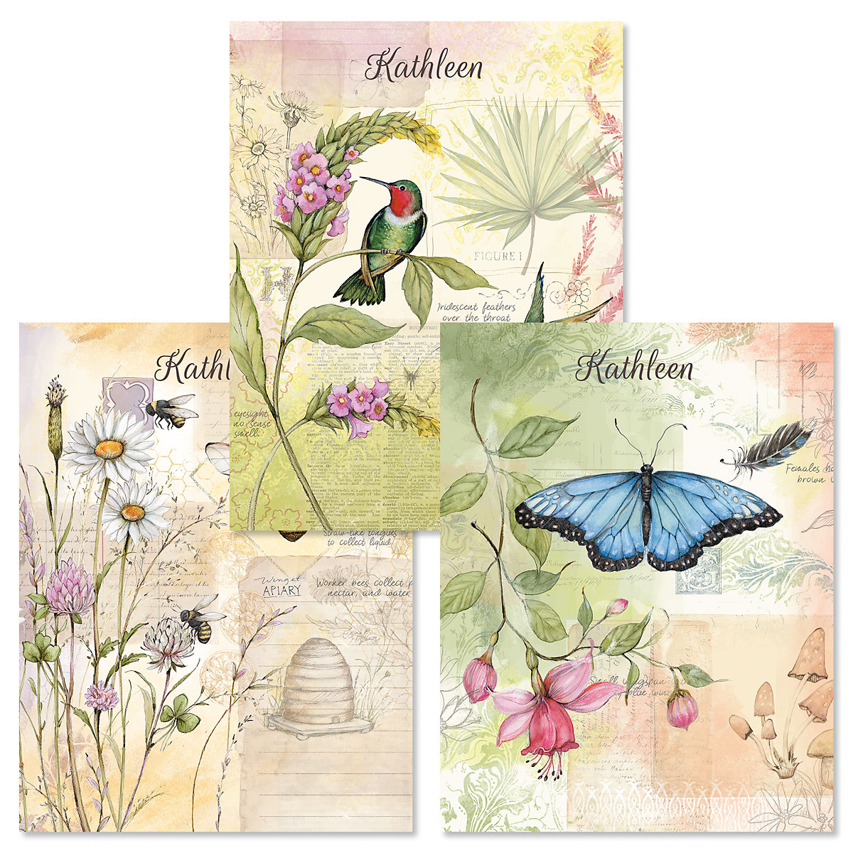 Field Guide Custom Note Cards | Colorful Images