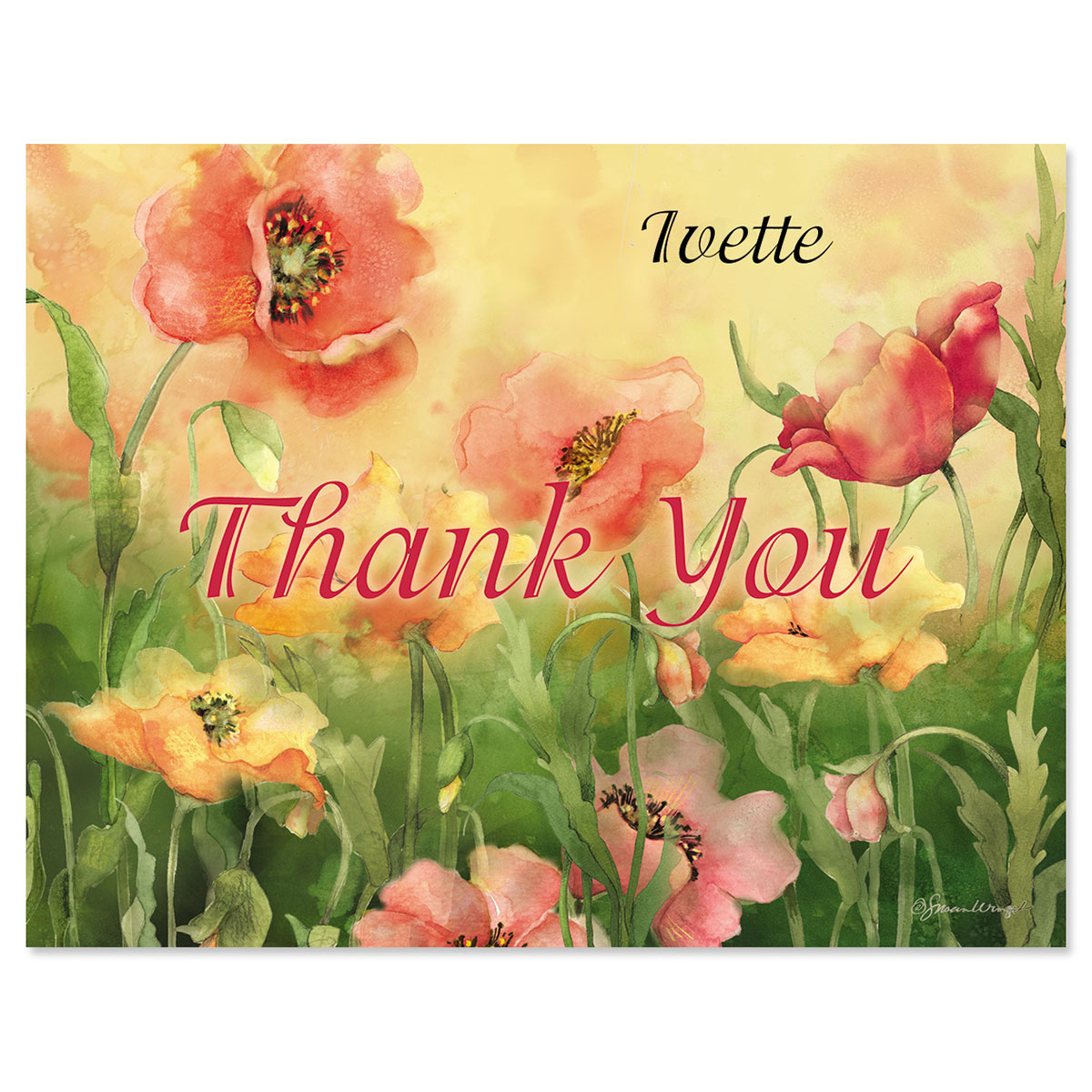 Poppies Custom Thank You Note Cards | Colorful Images