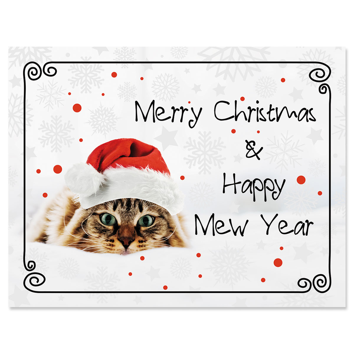 Cat Christmas Note Card Size Christmas Cards | Colorful Images