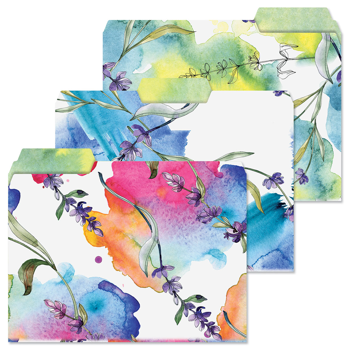Blooming Lavender File Folders | Colorful Images