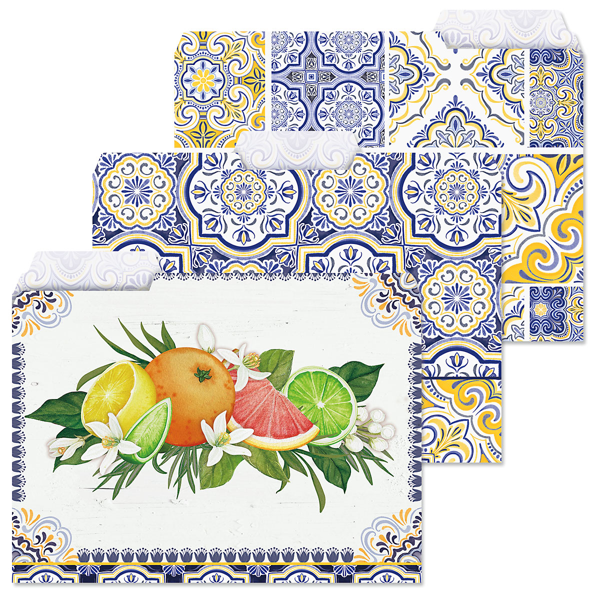 Mediterranean Citrus File Folders | Colorful Images