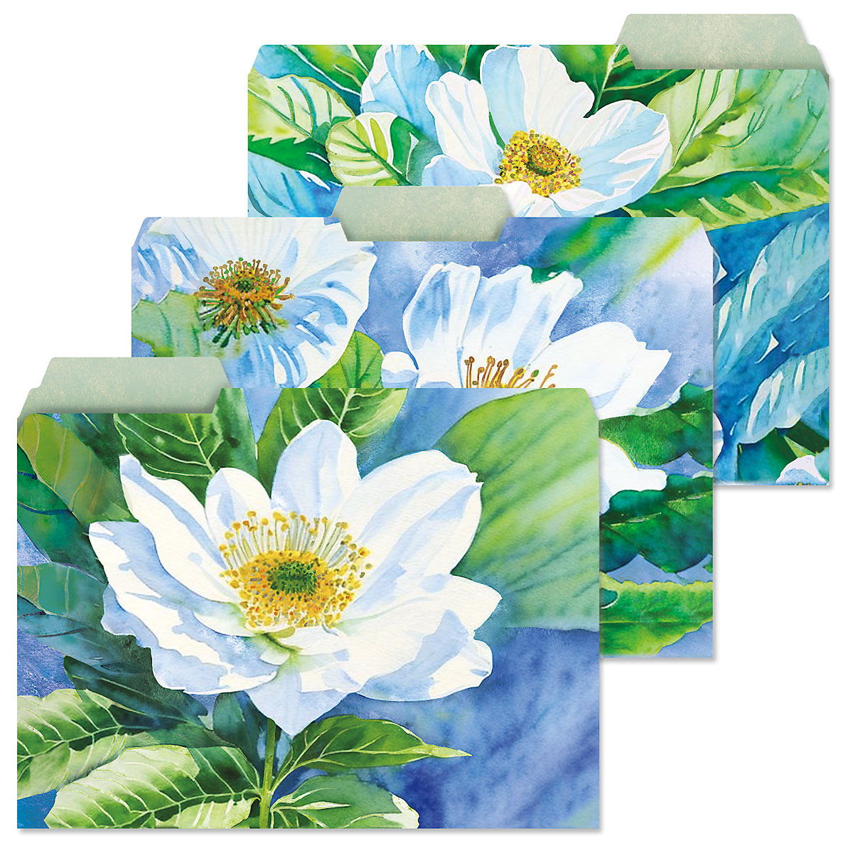 White Flowers File Folders | Colorful Images
