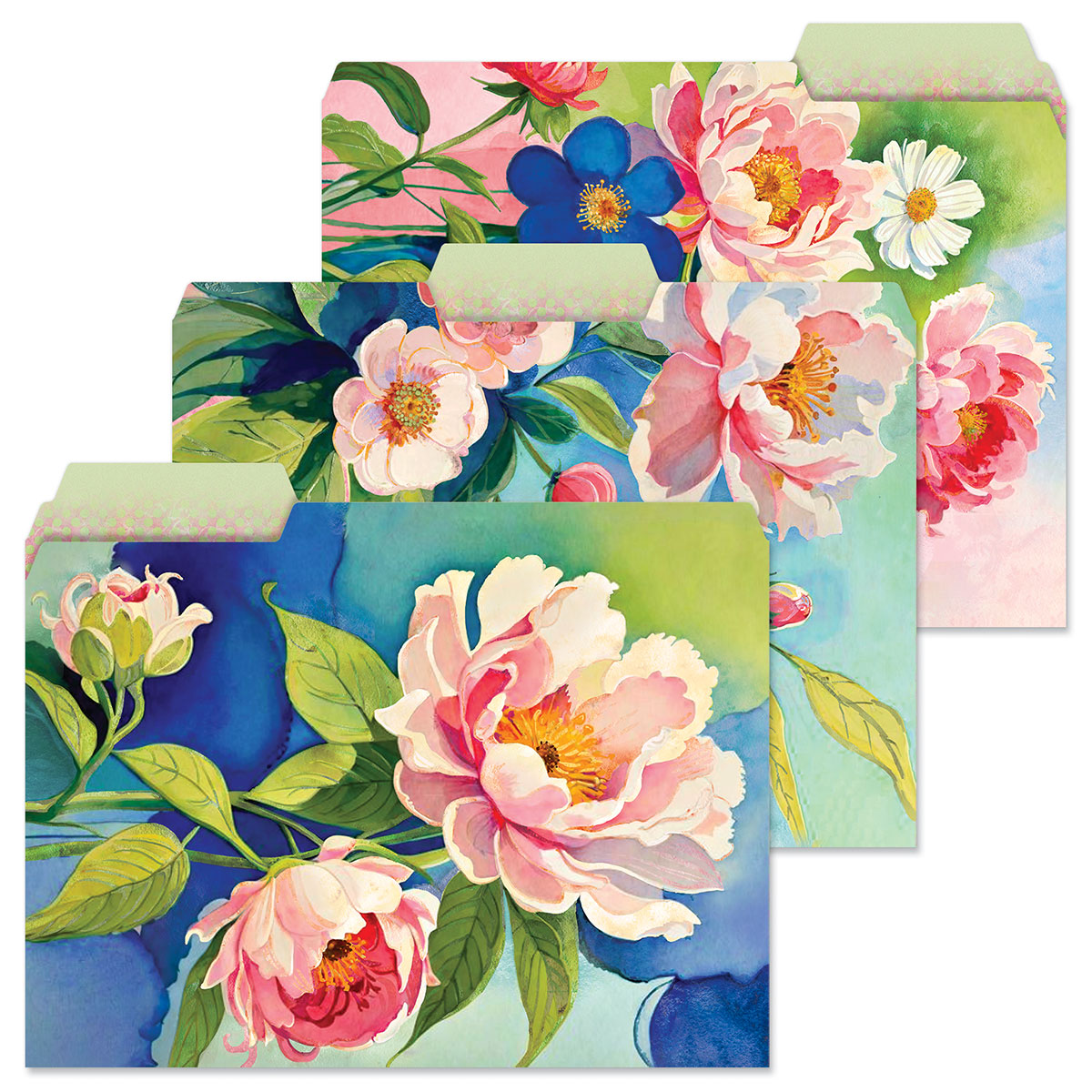 Floral Blooms File Folders | Colorful Images