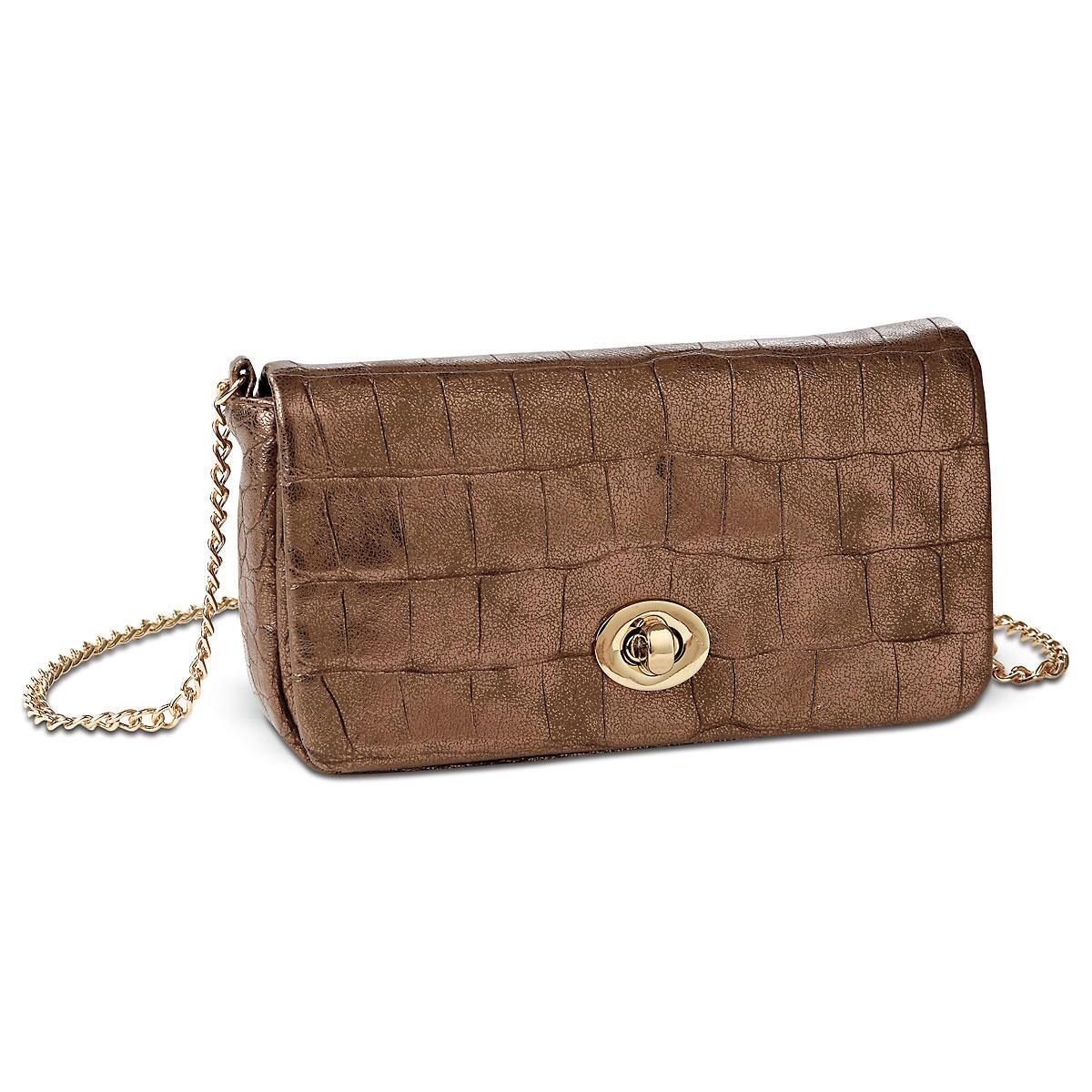 Bronze Metallic Purse | Colorful Images