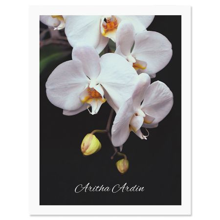 Orchids on Black Custom Note Cards | Colorful Images