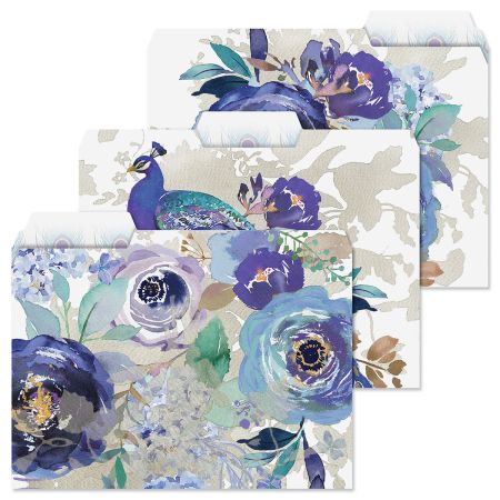 Blue Peacock File Folders | Colorful Images
