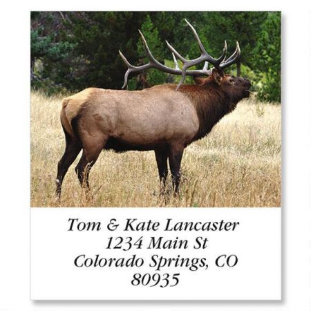 Bugling Elk Select Return Address Labels | Colorful Images