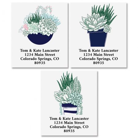 Succulents Select Return Address Labels (3 Designs) | Colorful Images