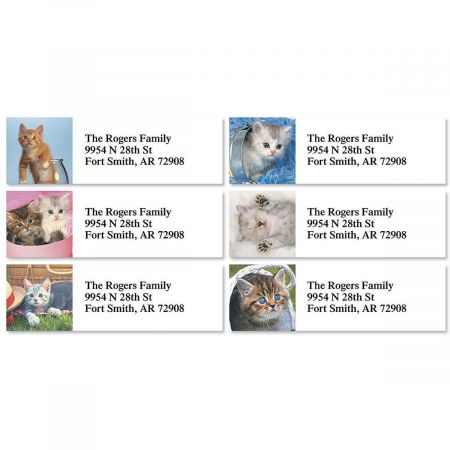 Kitty Kapers Classic Return Address Labels | Colorful Images