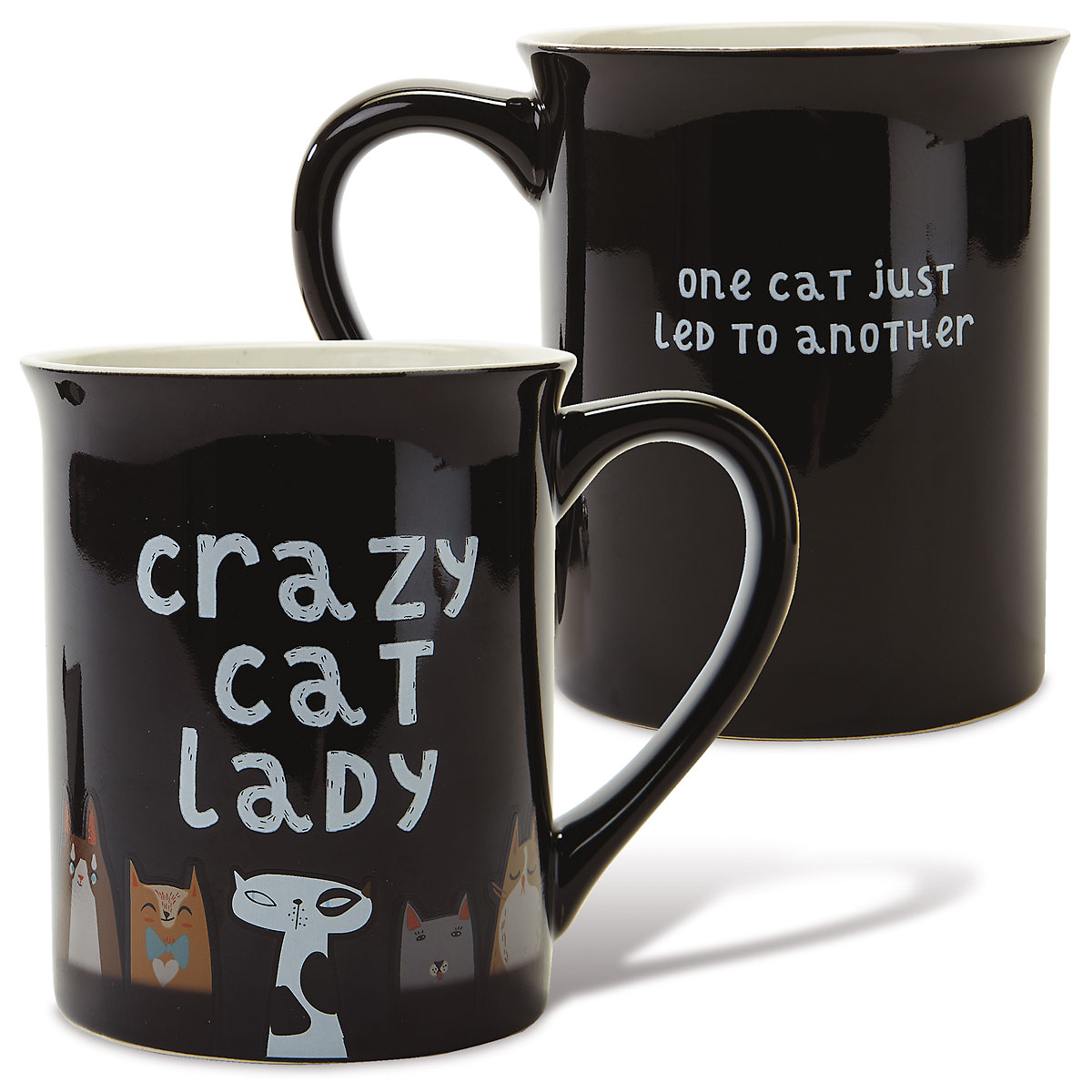 Crazy Cat Lady Mug | Colorful Images