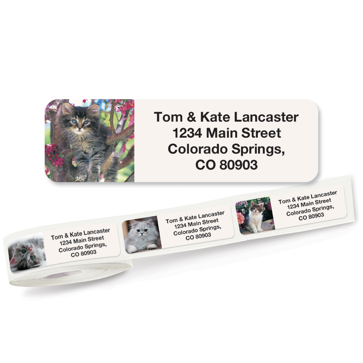 Cute Kittens Rolled Address Labels | Colorful Images