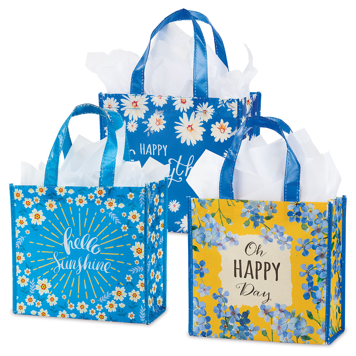 Happy Cub Reusable Gift Bags - Buy 1 Get 1 Free | Colorful Images