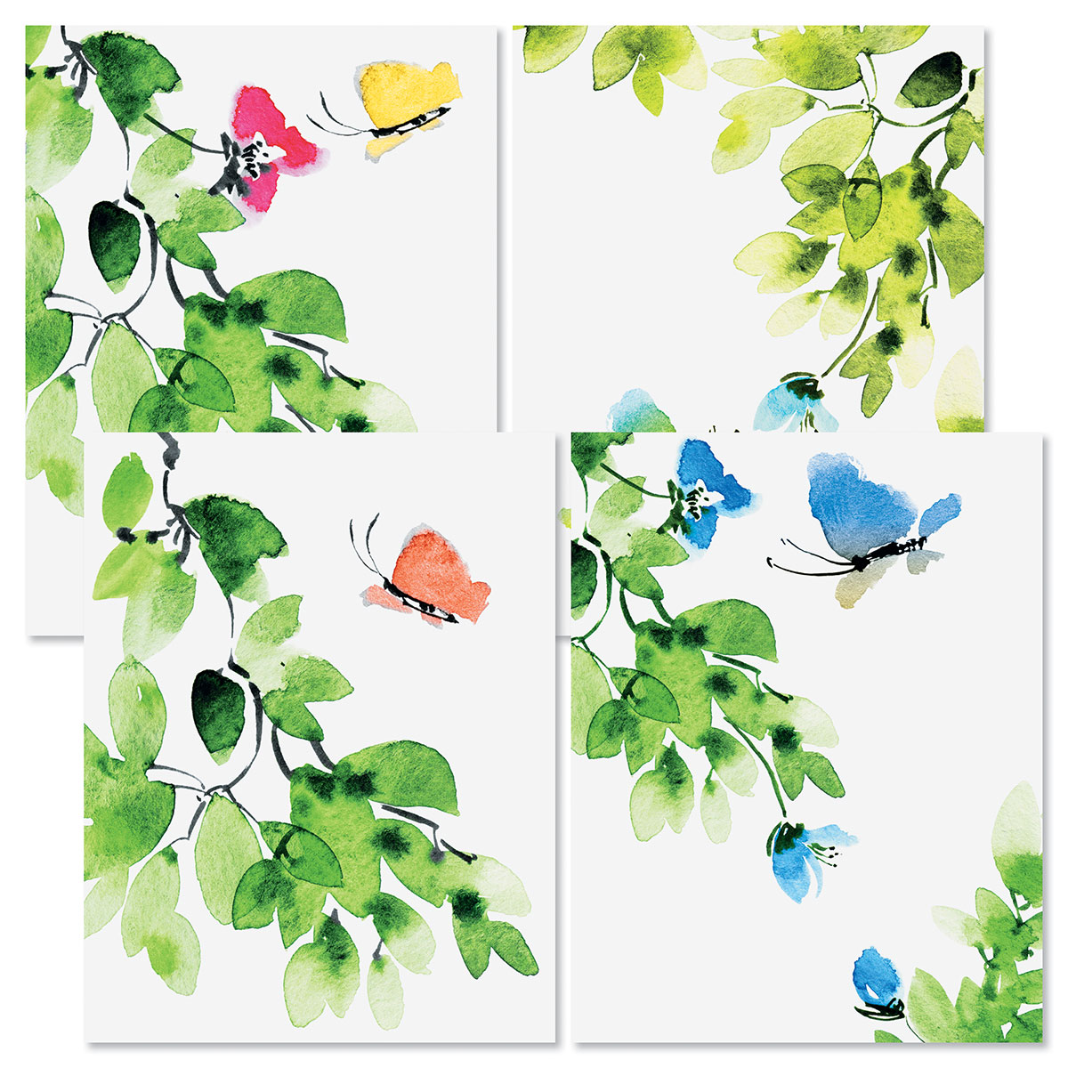 Spring Butterfly Note Card | Colorful Images