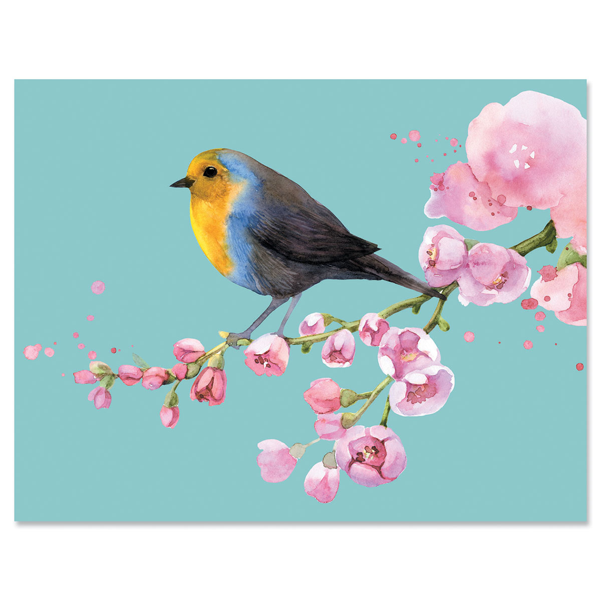 Spring Birds Note Cards | Colorful Images