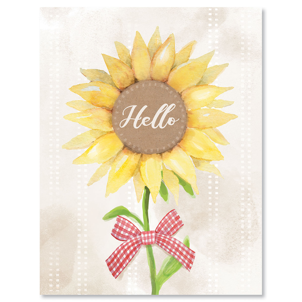 Hello Note Cards | Colorful Images