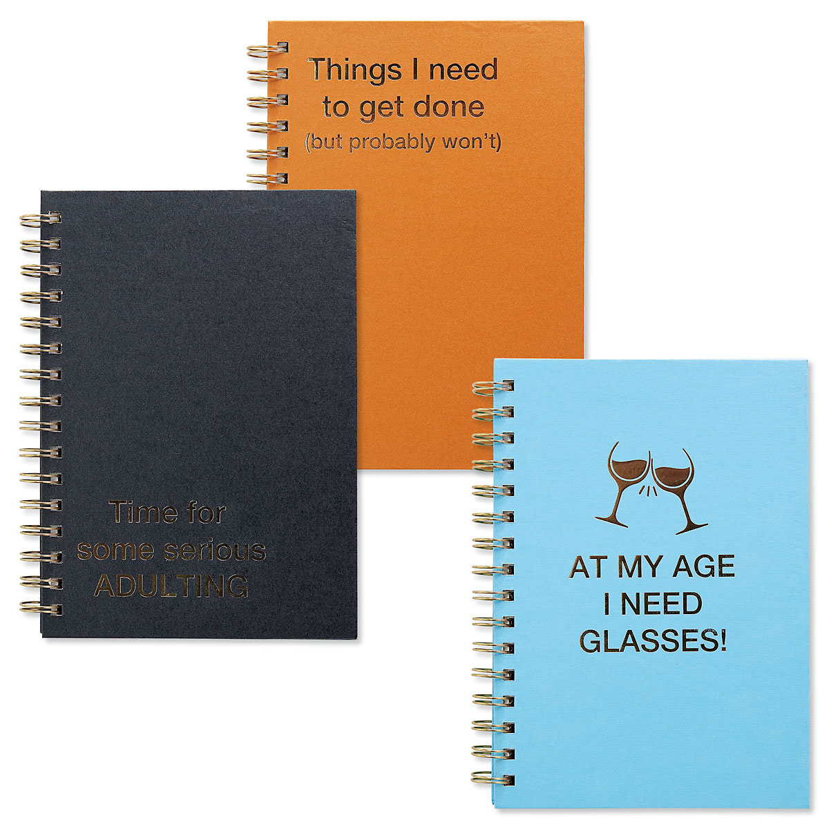 Fun Sayings Notebook | Colorful Images