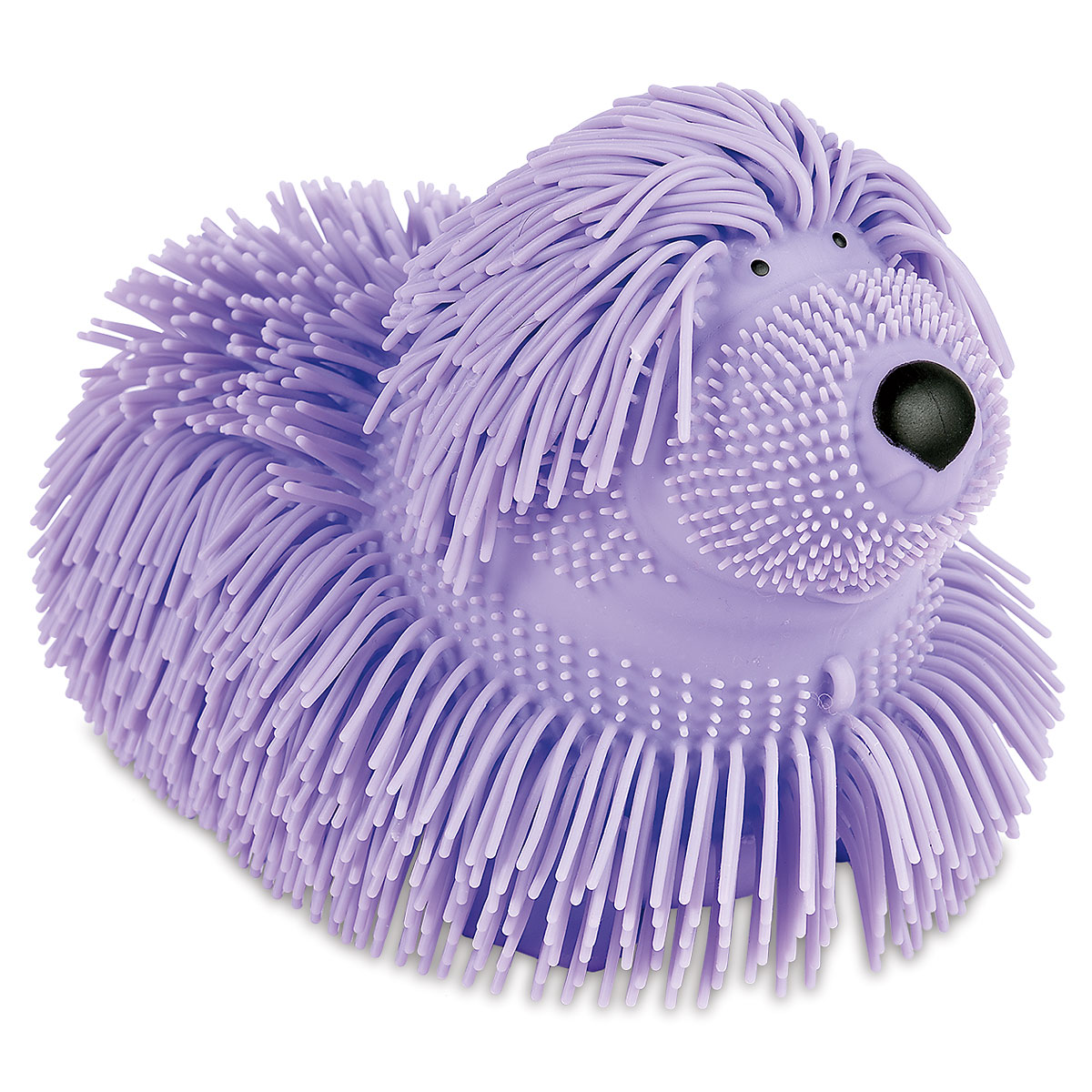 Puffer Dog | Colorful Images