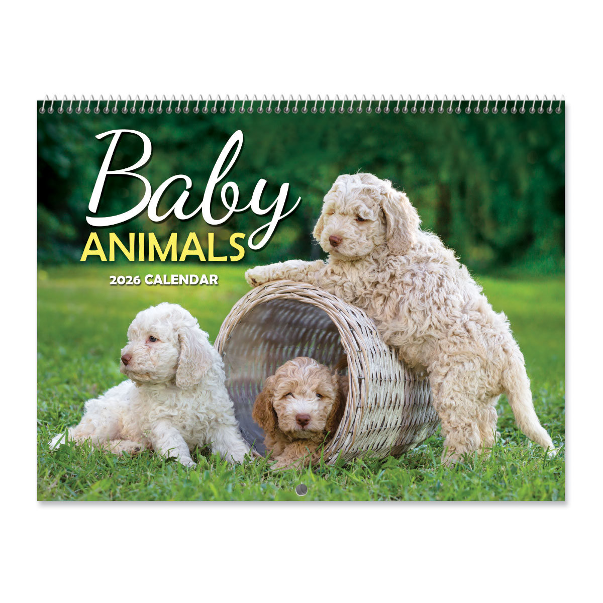 Baby Animals 2026 Wall Calendar | Colorful Images