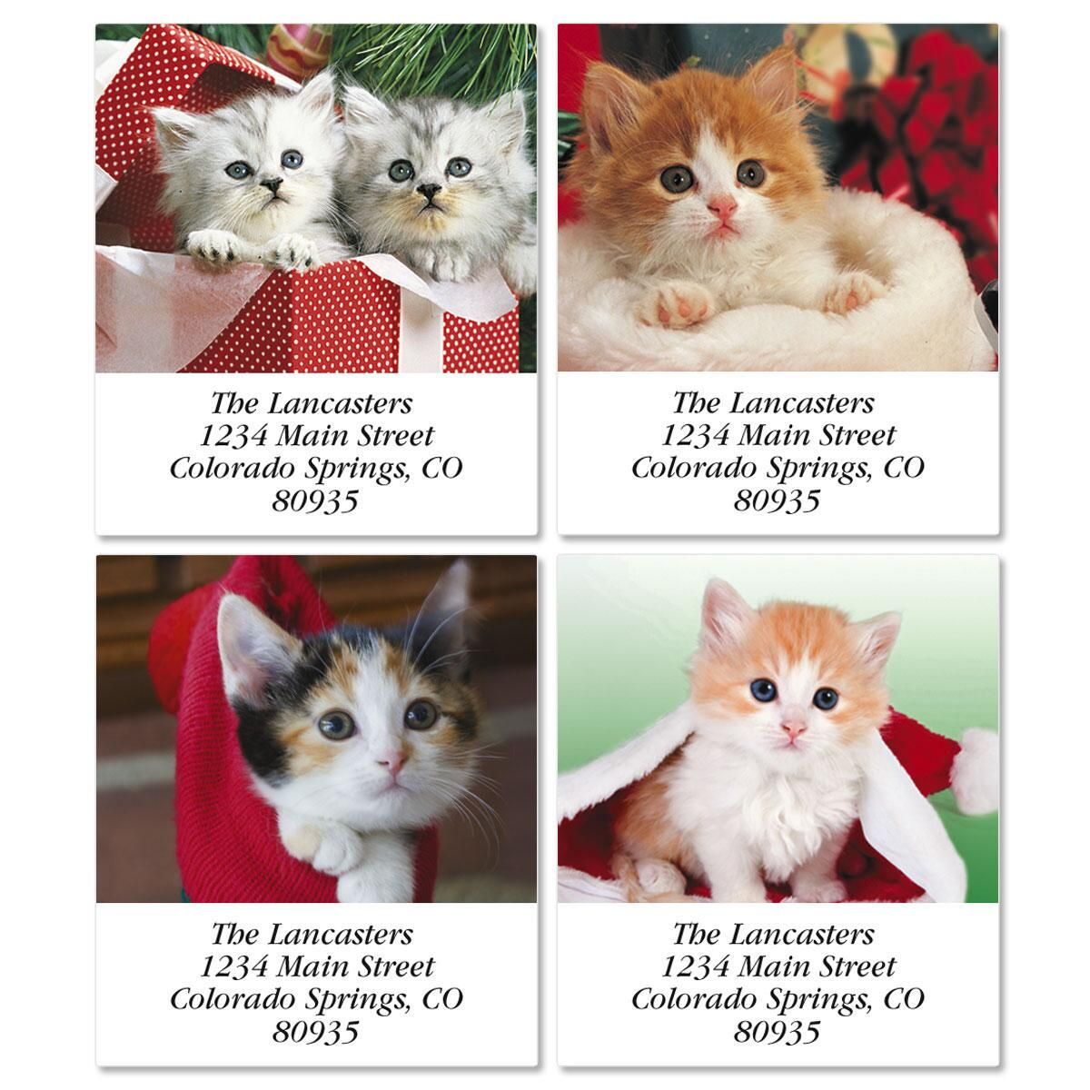 Christmas Cats Address Labels Colorful Images