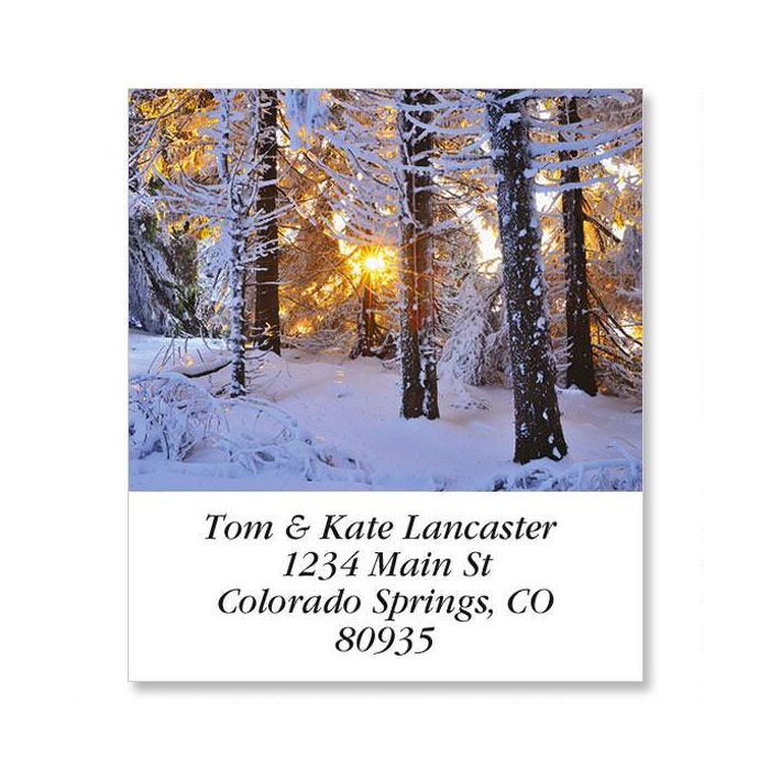 Snow Covered Conifer Select Return Address Labels | Colorful Images