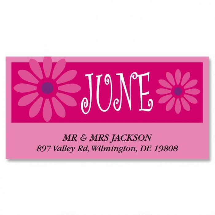 A Fun Year Deluxe Return Address Labels Colorful Images