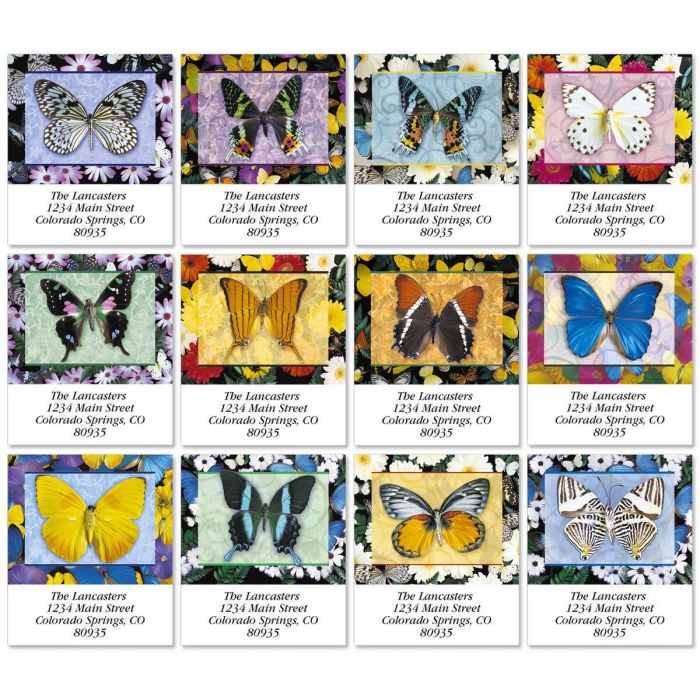 Butterflies All Year Round Select Return Address Labels | Colorful Images