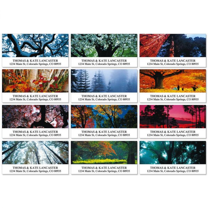 Seasons of Trees Deluxe Return Address Labels | Colorful Images