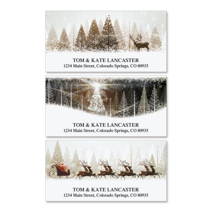 Winter Banners Deluxe Return Address Labels | Colorful Images