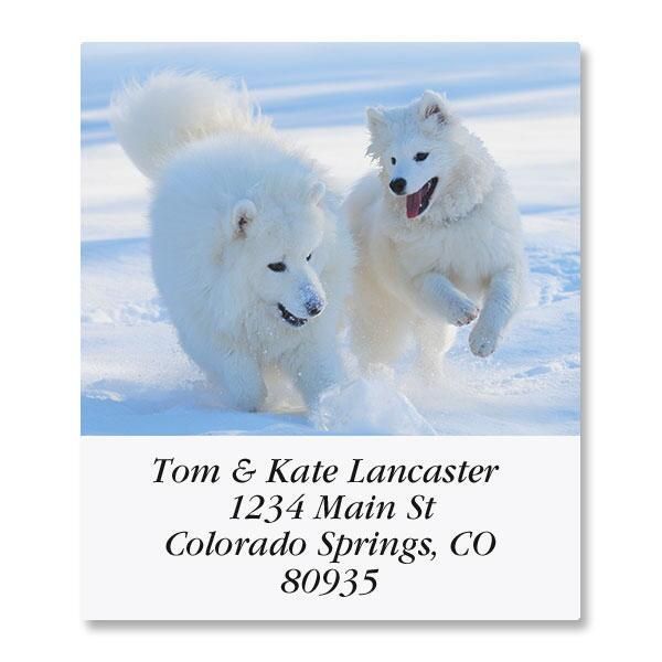 Fluffy Fun Select Address Labels | Colorful Images