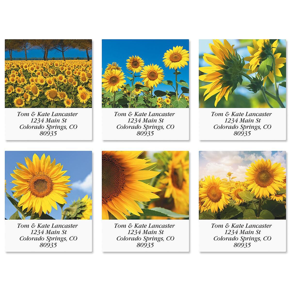 Sunny Sunflowers Select Return Address Labels | Colorful Images