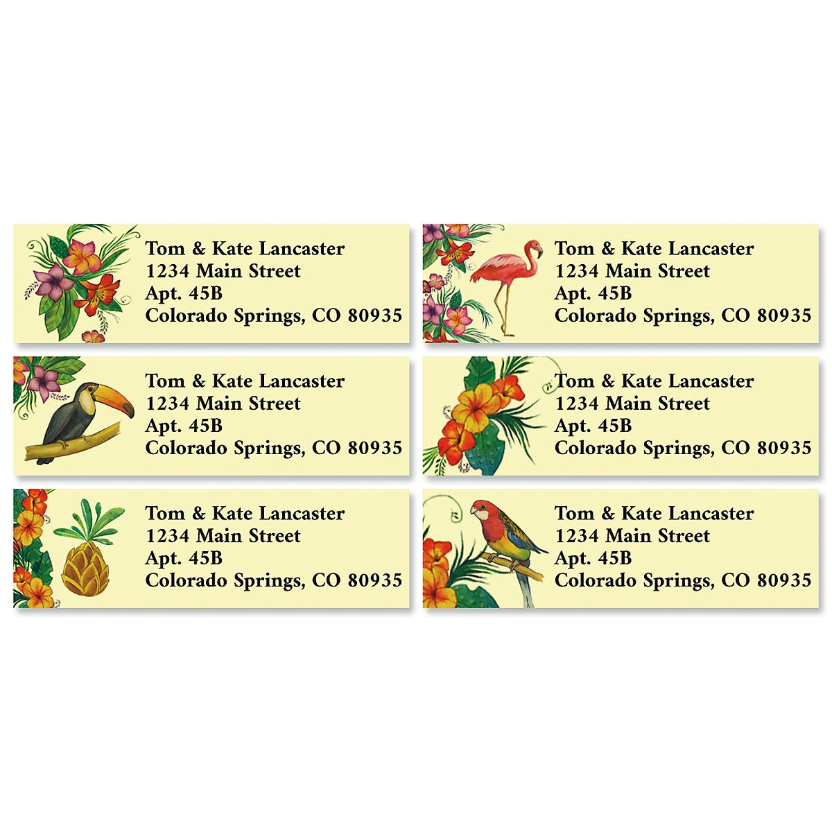 Tropical Summer Classic Return Address Labels (6 Designs) | Colorful Images