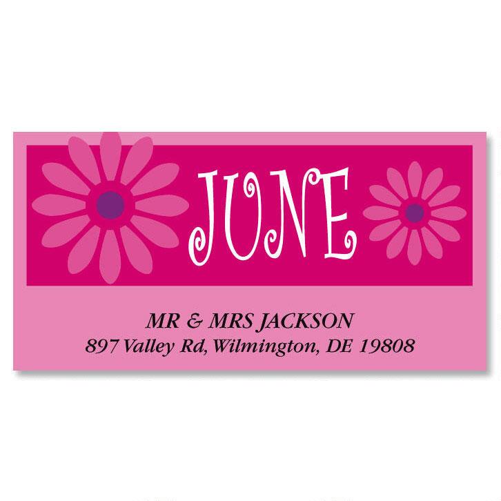 A Fun Year Deluxe Return Address Labels (12 Designs) | Colorful Images